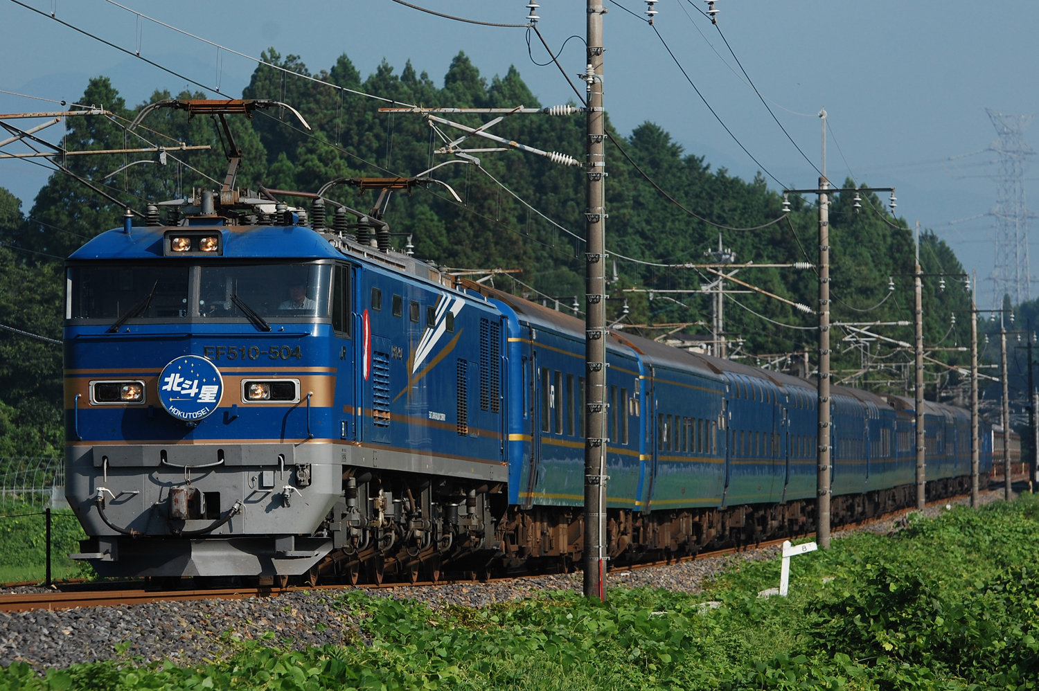 HIBARI481の撮影日記Ⅱ : 2012年08月