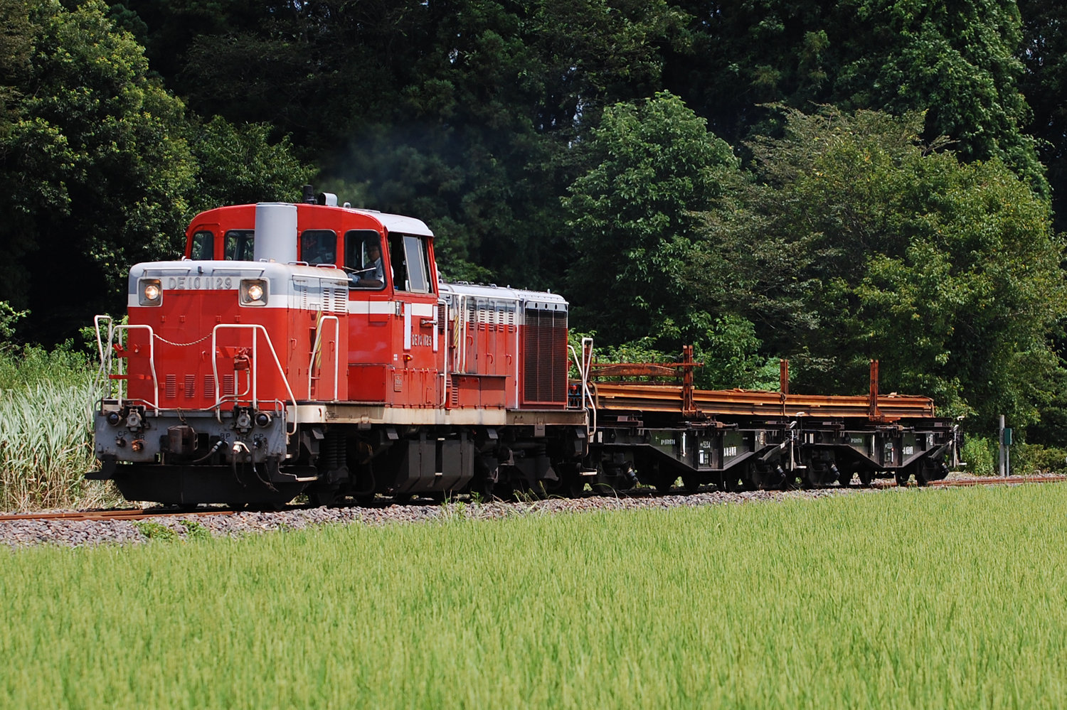 HIBARI481の撮影日記Ⅱ : DE10