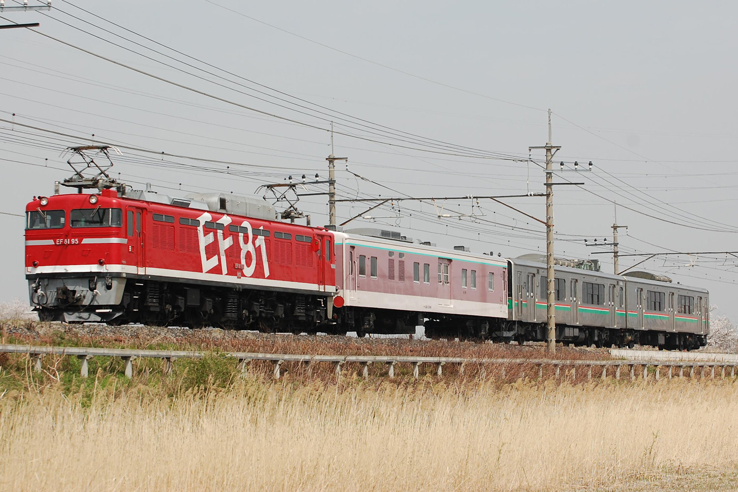 HIBARI481の撮影日記Ⅱ