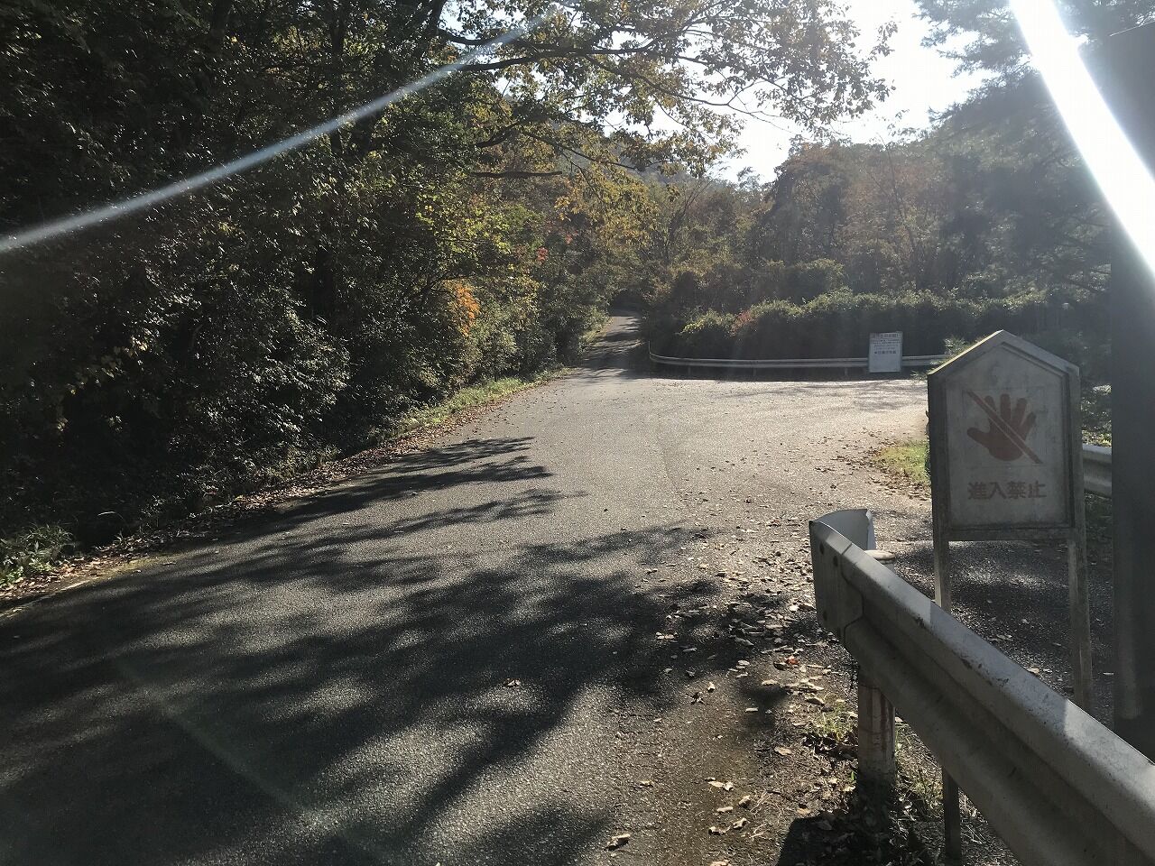 2023年02月 : 女子一人完全歩きお遍路旅！