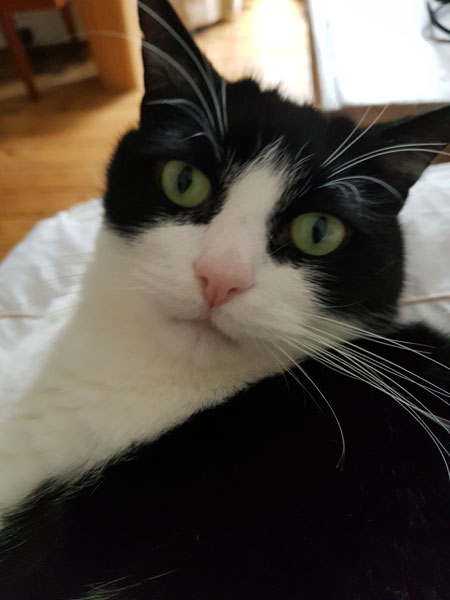 生活習慣改善月間。 : 英国つれづれ日記