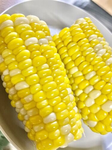 Super sweet corn from Kamogawa “Dolce Dream” : Angel Real Estate Boso ...