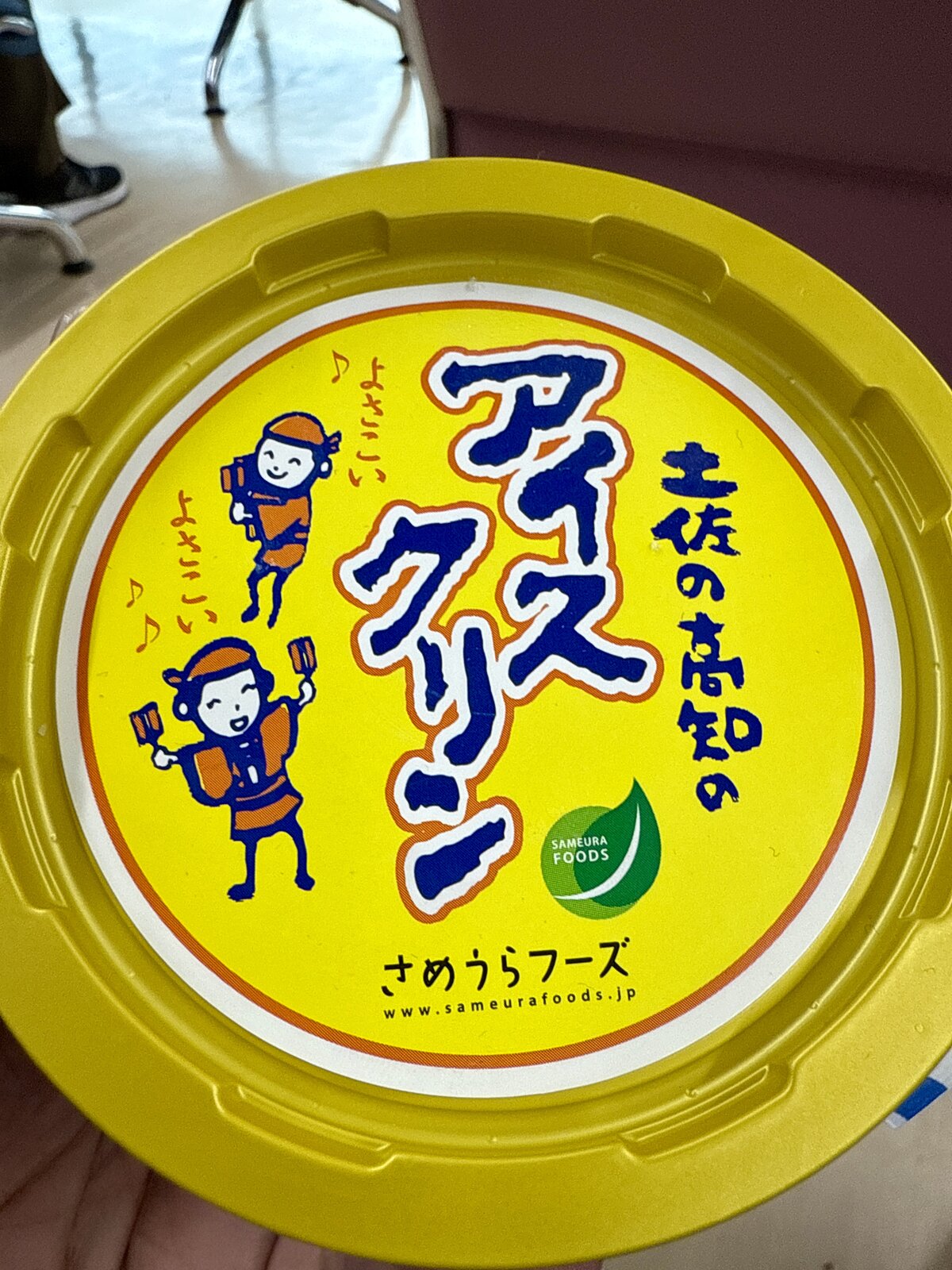 ちょっと遅い夏休みは高知でした 10 : ひろっさのブログ