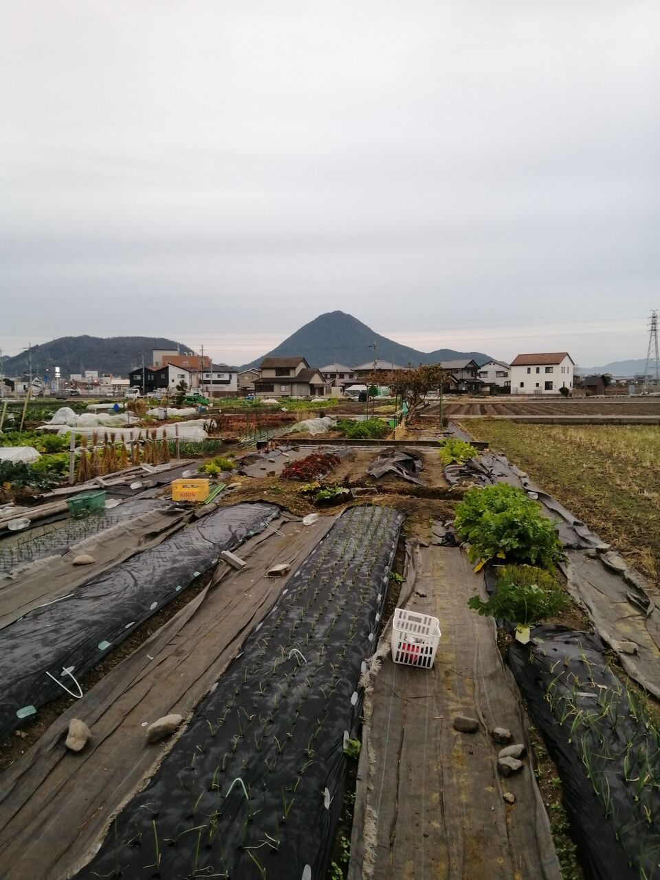 2019年12月 : 栗東のおっさんがいく