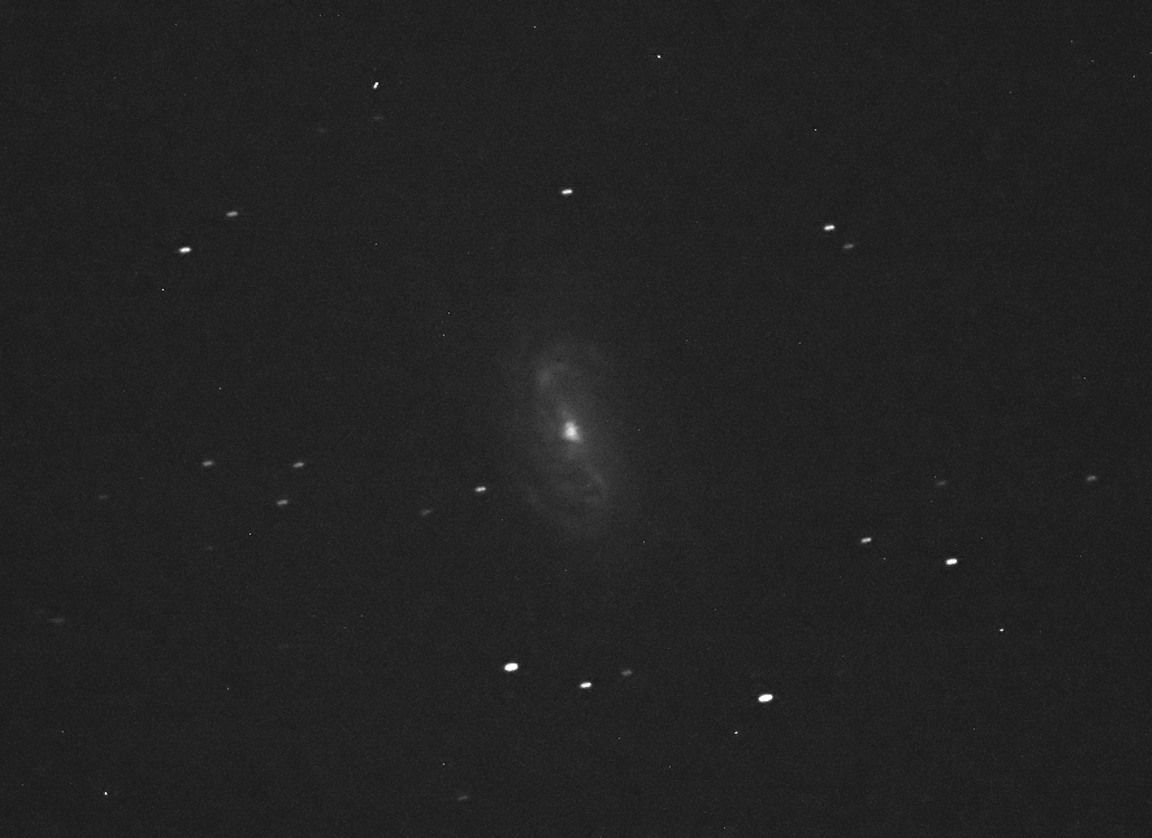 宇宙は両目で見るのが一番 : NGC 2903