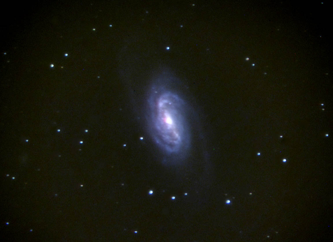 宇宙は両目で見るのが一番 : NGC 2903