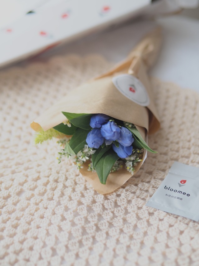 マルチーズの…ひろしです。。。:今月のお花～bloomee【PR】 Powered by ライブドアブログ