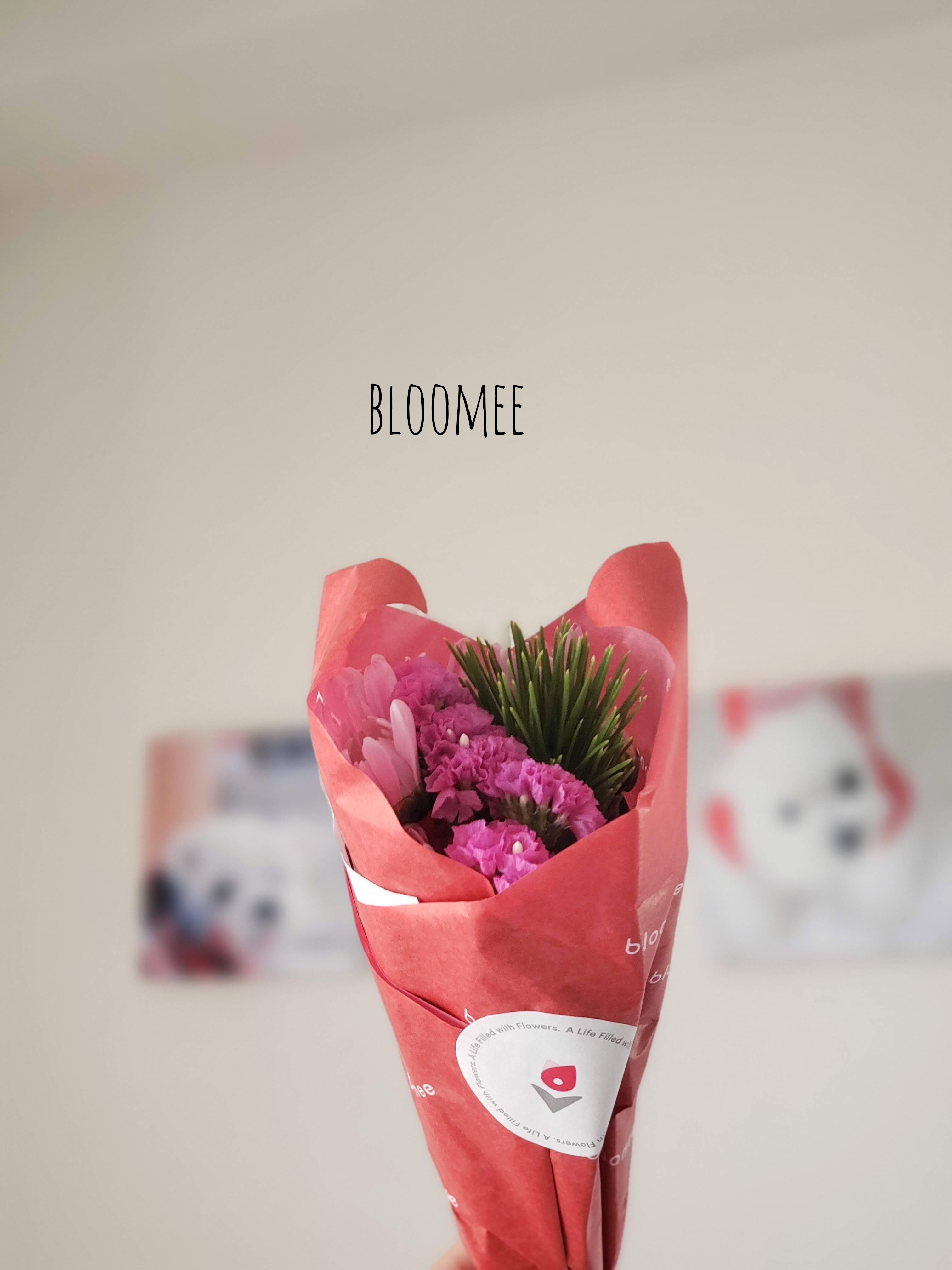 マルチーズの…ひろしです。。。:今月のお花～bloomee～【PR】 Powered by ライブドアブログ