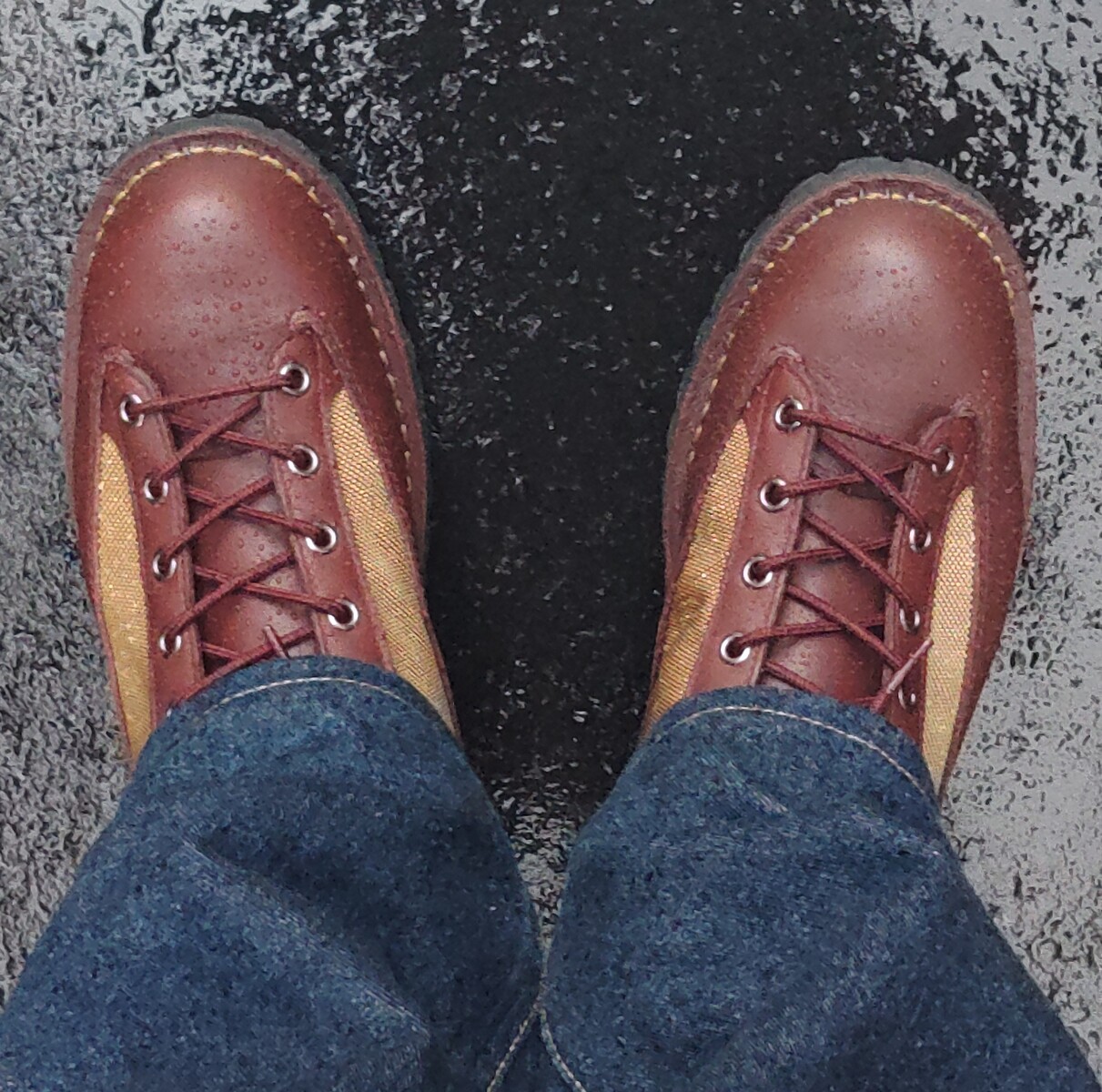 DANNER FIELD ＆ DANNER FIELD LOW 履きおろし : オートバイとスポルティーフと模型道楽2
