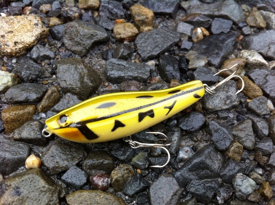 ACCEL 70 : 時々フィッシュ・オン！