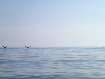 HOLYSMOKE : Josh Hall Fish Simmons 6'8"