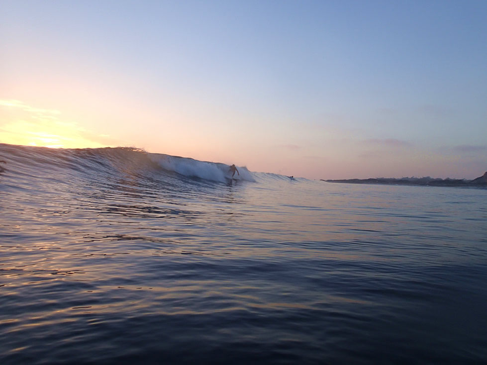 HOLYSMOKE : Josh Hall Fish Simmons 6'8"