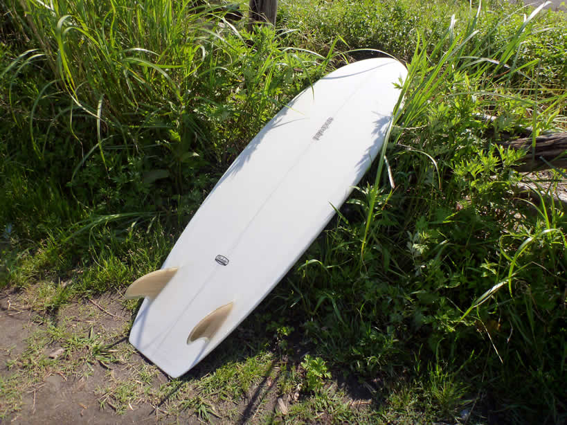 HOLYSMOKE : SQUARE TAIL FISH