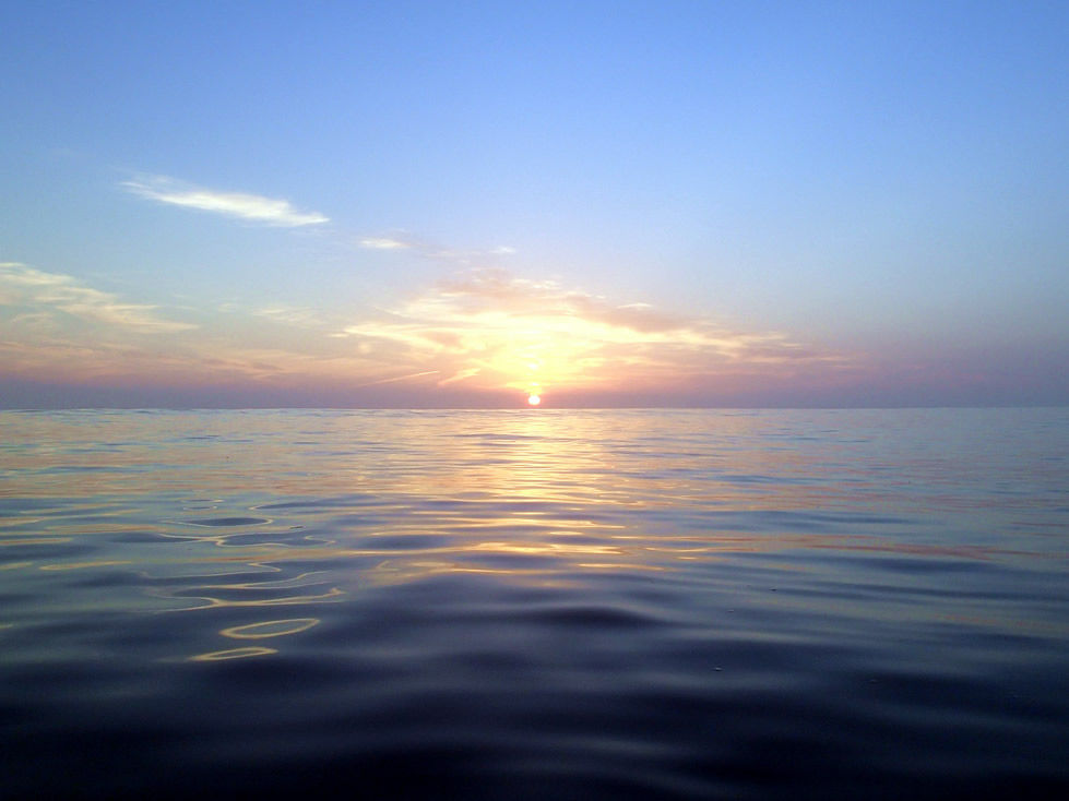 HOLYSMOKE : Josh Hall Fish Simmons 6'8"