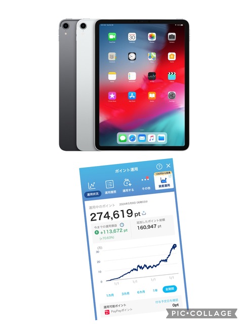 PayPayポイントでiPad Proを買った〜M4搭載11インチモデル（その1） : hoodroadのblog