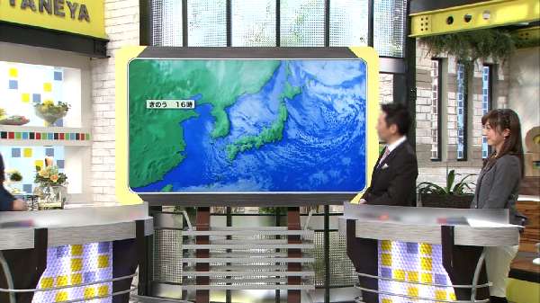 女子アナ & 気象予報士 : 川田裕美 ☆ ミヤネ屋～読売TV