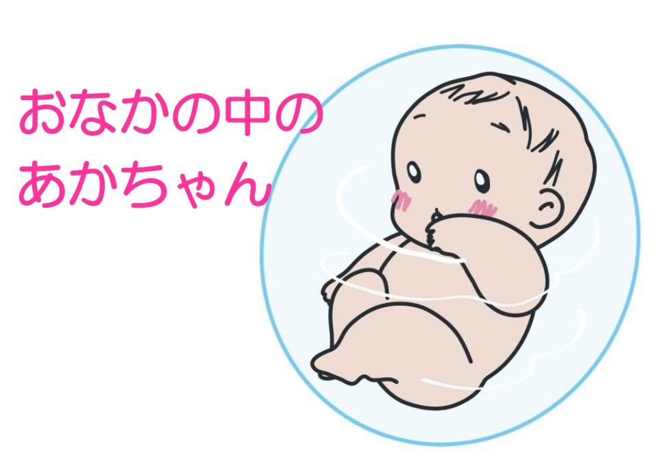 【保健指導】おへそのひみつ（小学校低学年） : 養護教諭の小ネタの小部屋