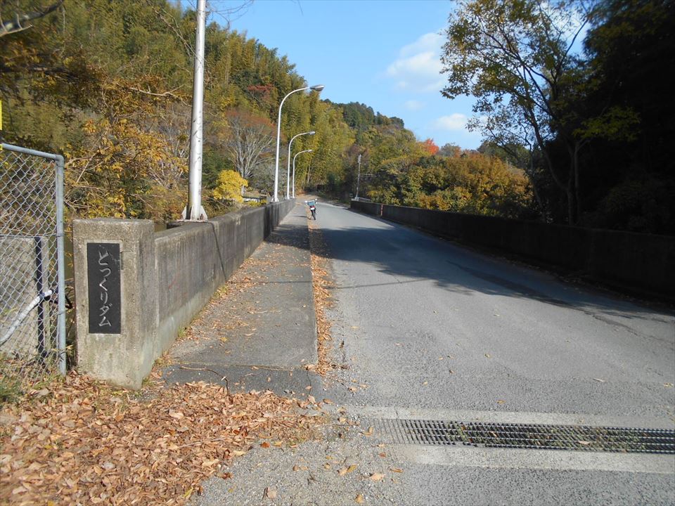 三郷町_平群町、信貴フラワーロード、20241203 : ryokutyaの山行備忘録