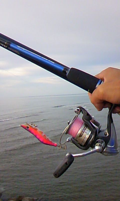 ちょっと晩飯釣りにきた！ アオリイカ編 : 四郎兵衛さんの日常