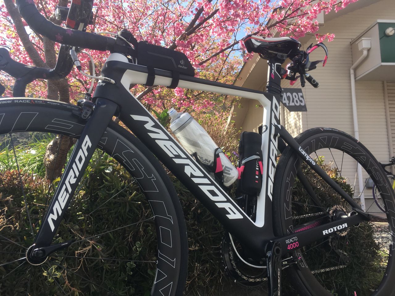 自転車 : 右手の処女と左手の淑女