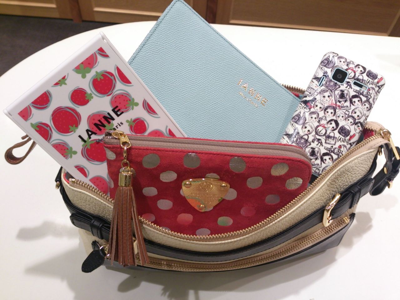 IANNE Nouvelles et un Journal : IANNE新作ご紹介☆3★