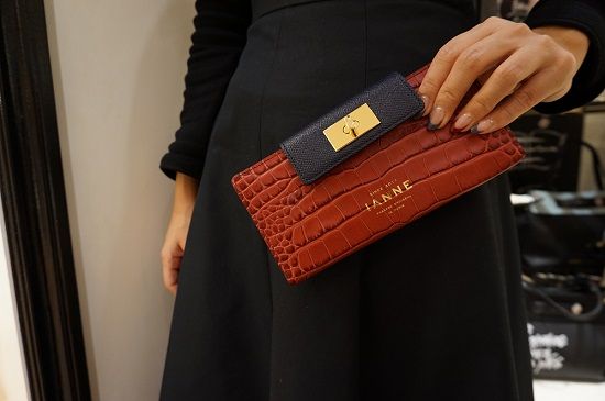 IANNE Nouvelles et un Journal