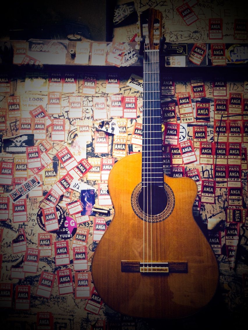 私の相棒、紹介します！ : イダセイコの徒然イダ日誌