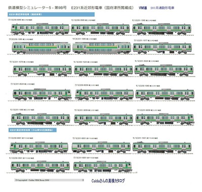NゲージE231系近郊電車15両編成走行動画から: 鉄道模型シミュレータ―5で一人遊びだ。