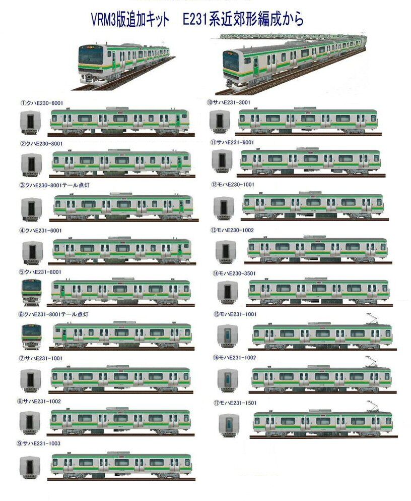 新VRM3★井戸端会議 : VRM3細長レイアウト製作81-E231系近郊形