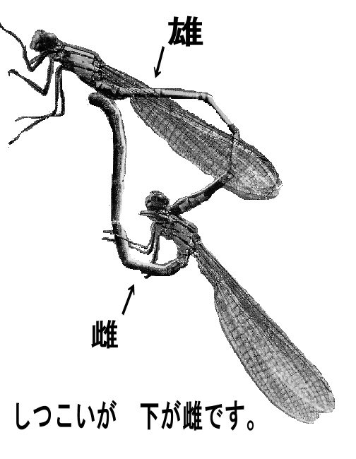 新VRM3★井戸端会議 : 2019年10月07日