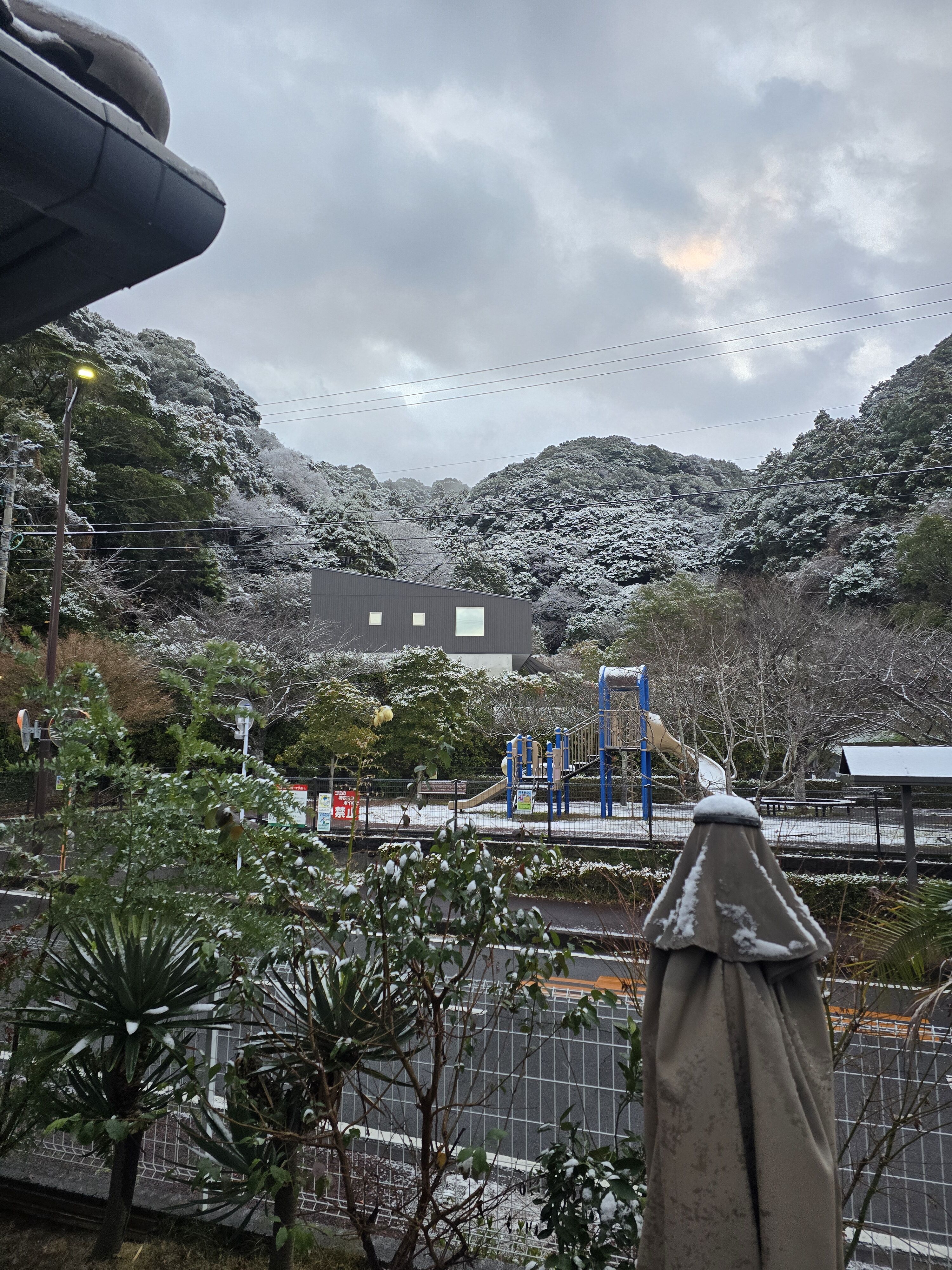 ワンちゃん☆ママン奮闘記 : 雪が降ると。。