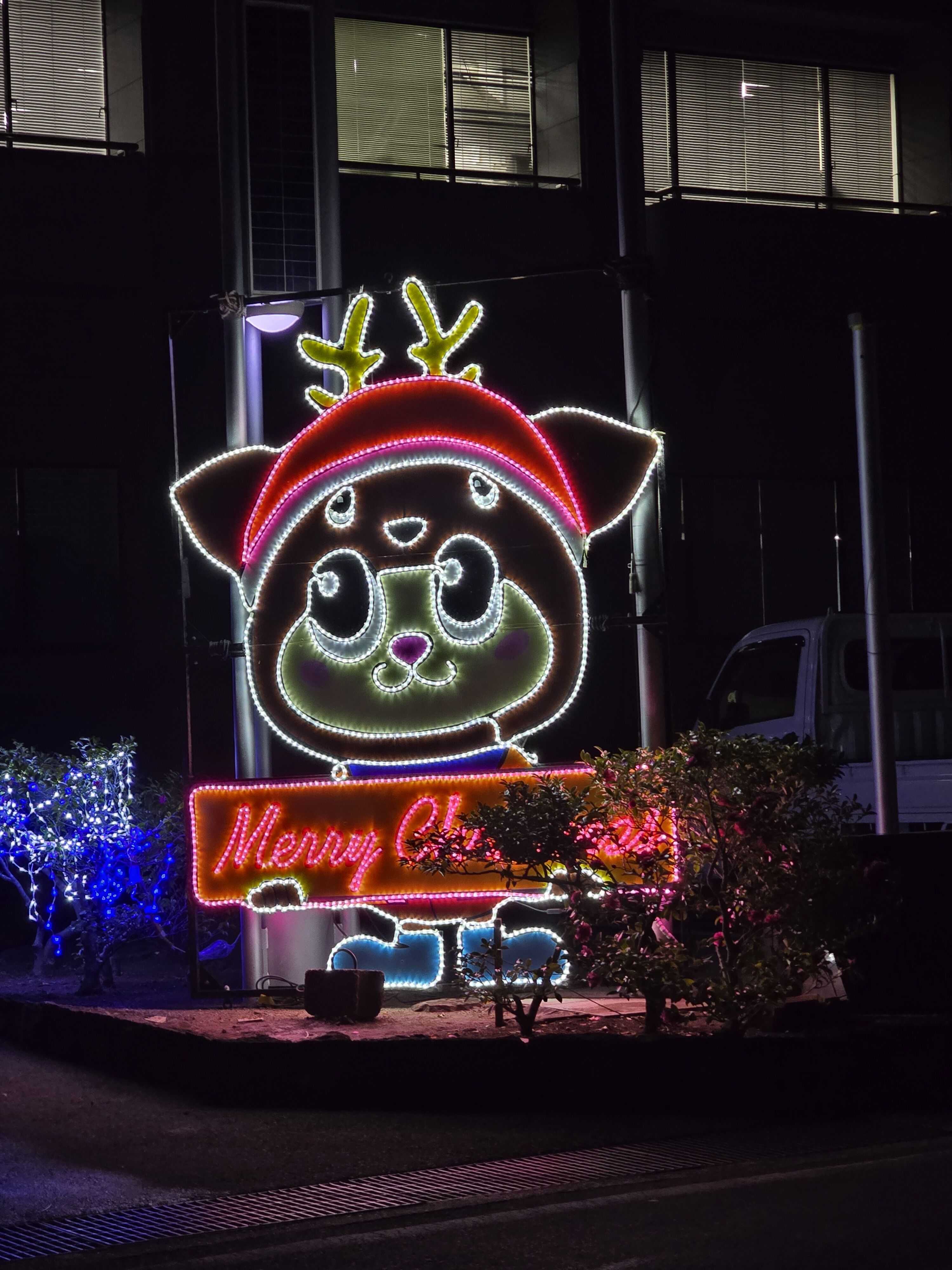 ワンちゃん☆ママン奮闘記 : スーパーが開いた！！