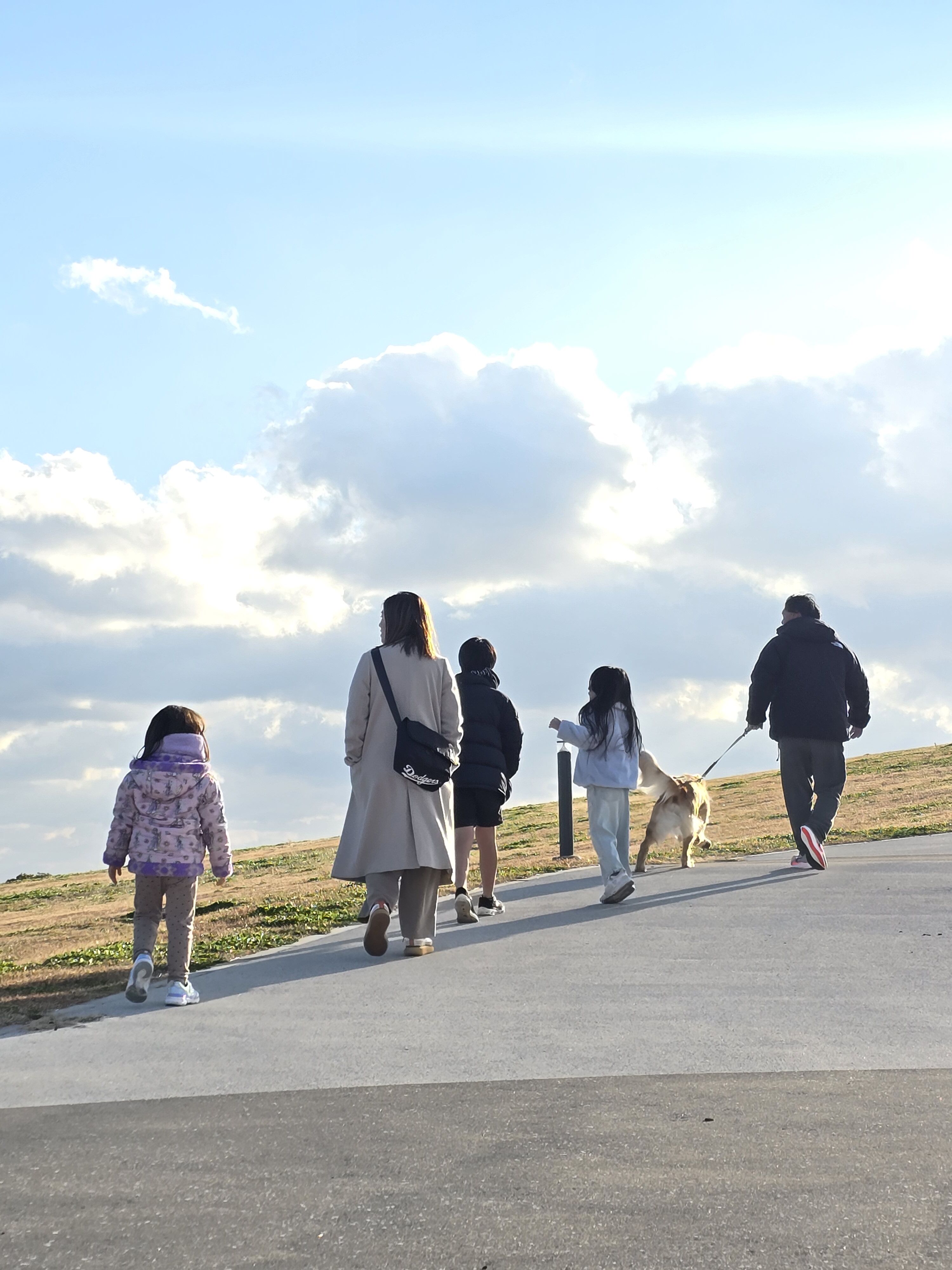ワンちゃん☆ママン奮闘記 : 雪が降ると。。