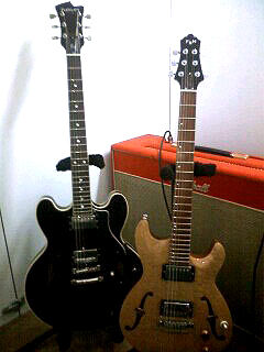 FgN GF-FH 2005 ( Rosewood Neck Model ) : Blog / Ikakoo Gathering