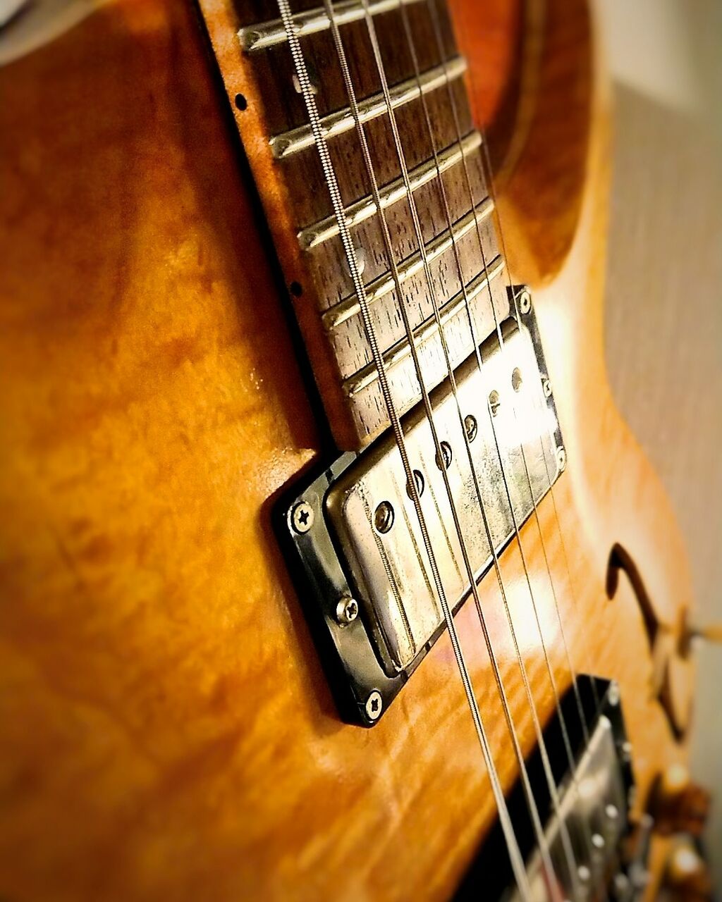 FgN GF-FH 2005 ( Rosewood Neck Model ) : Blog / Ikakoo Gathering