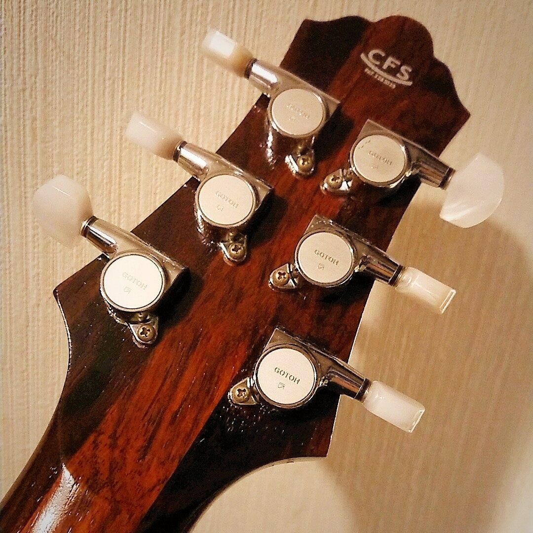 FgN GF-FH 2005 ( Rosewood Neck Model ) : Blog / Ikakoo Gathering