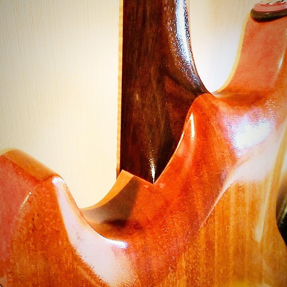 FgN GF-FH 2005 ( Rosewood Neck Model ) : Blog / Ikakoo Gathering