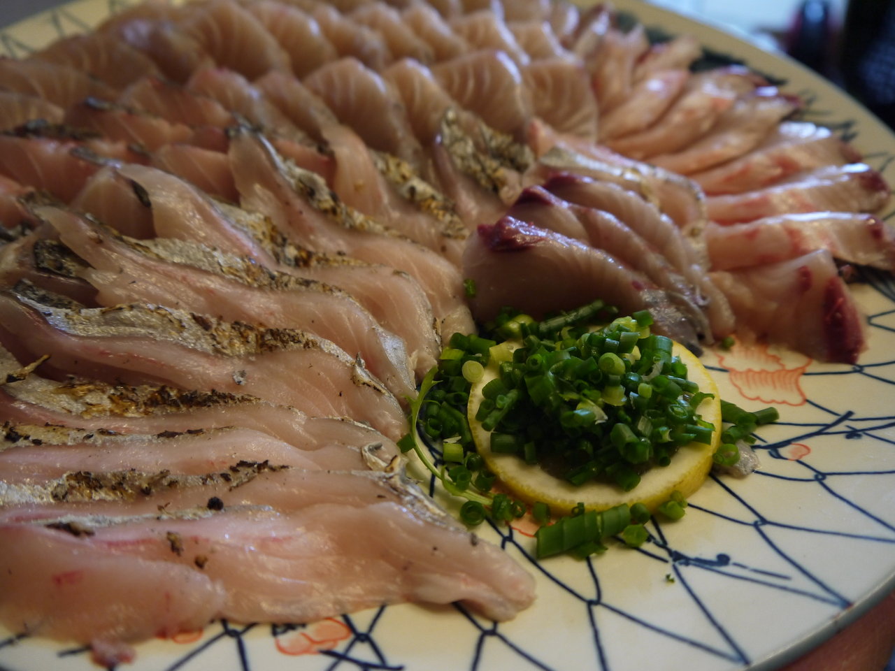 またもや自走型FISH・TRIPPER来島 : 漁ちゃんの宝島 壱岐