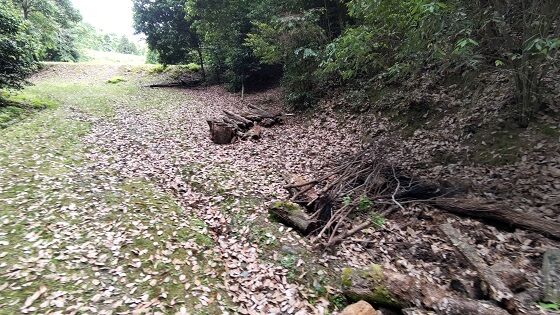 ガランス・ハーレー:協力隊