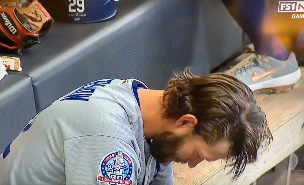 【MLB2019】 秋の風物詩… : マックス･シャーザー＆ポール･スキーンズ