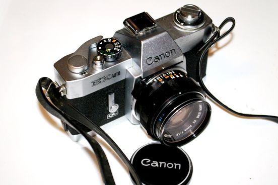 Canon EX-Auto : 森のイグレク