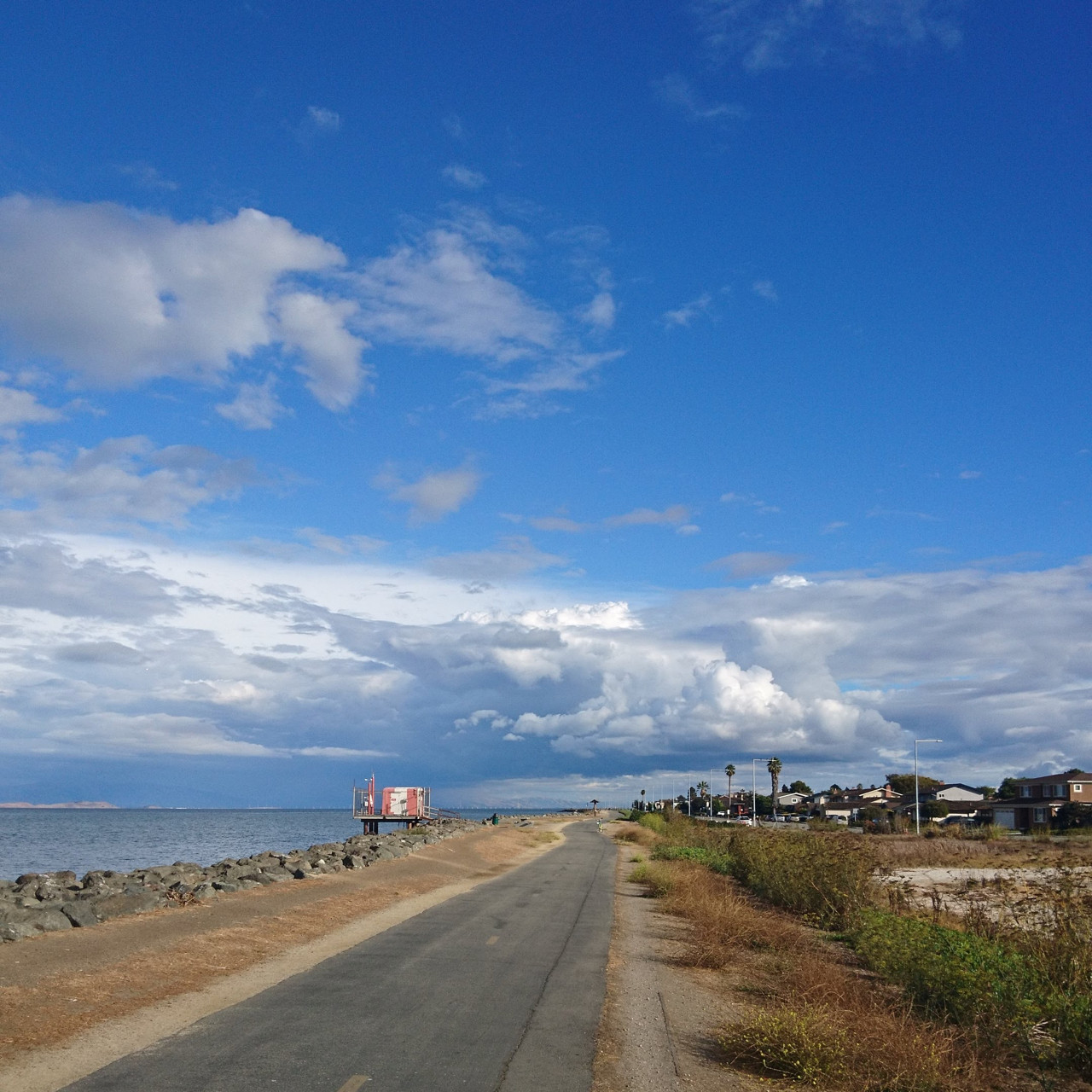 バタ念 - Batanen:a day