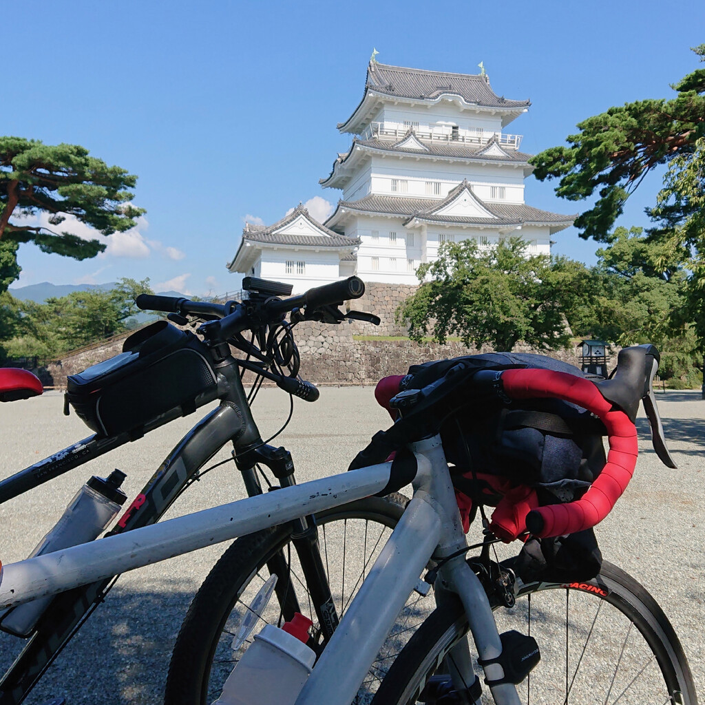 バタ念 - Batanen:from Odawara