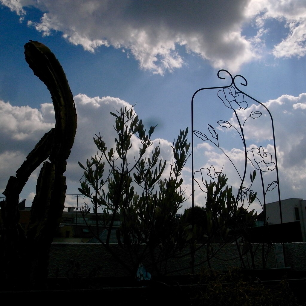 バタ念 - Batanen:Shibuya