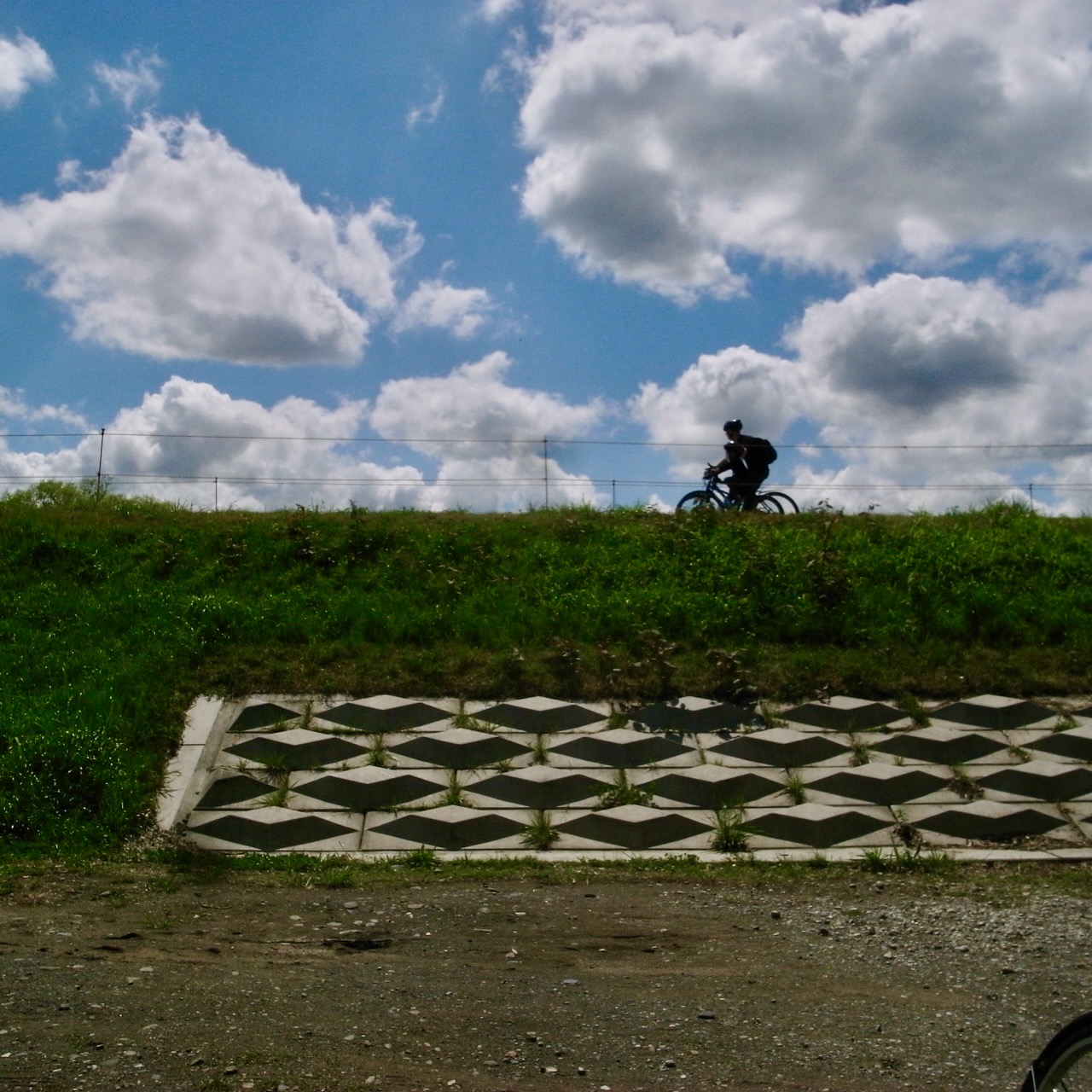 バタ念 - Batanen:Izumi-tamagawa