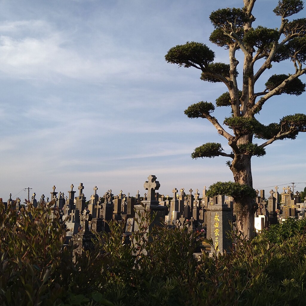 バタ念 - Batanen:road trip: day4