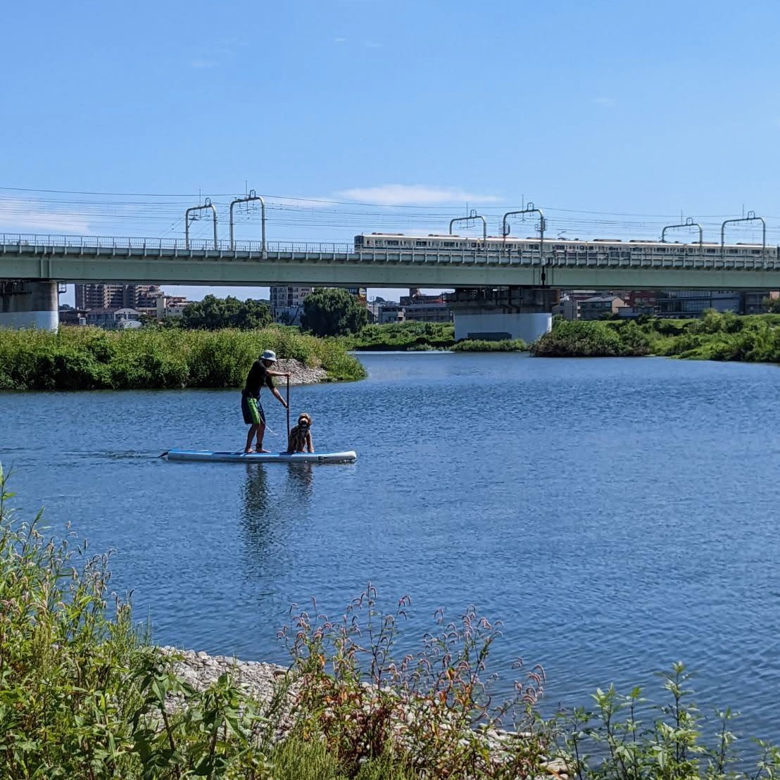 バタ念 - Batanen:memo