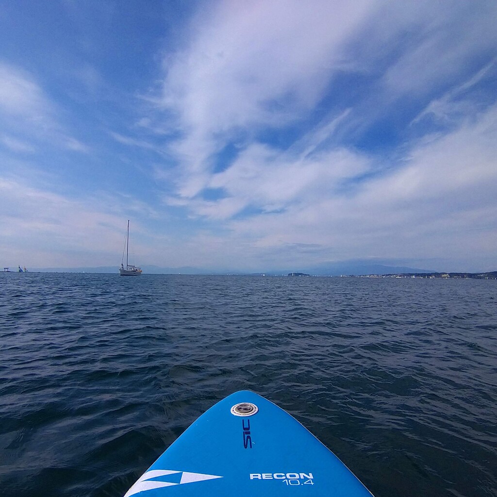 バタ念 - Batanen:Morito