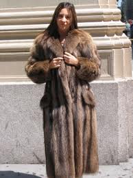 2012年08月 : アメリカ便り