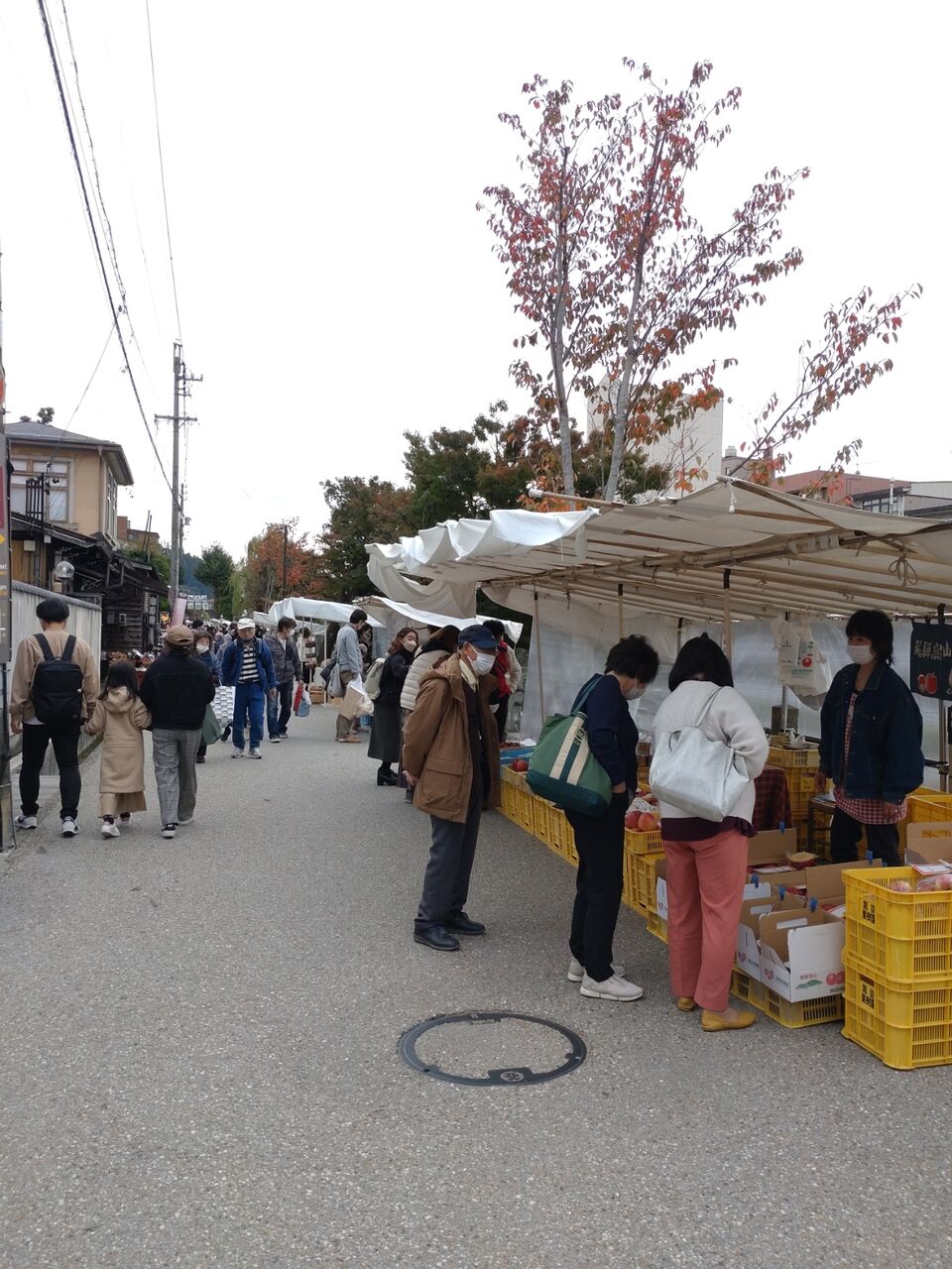 山城工芸の朝市ブログ : 花便り、ナツノハナワラビ